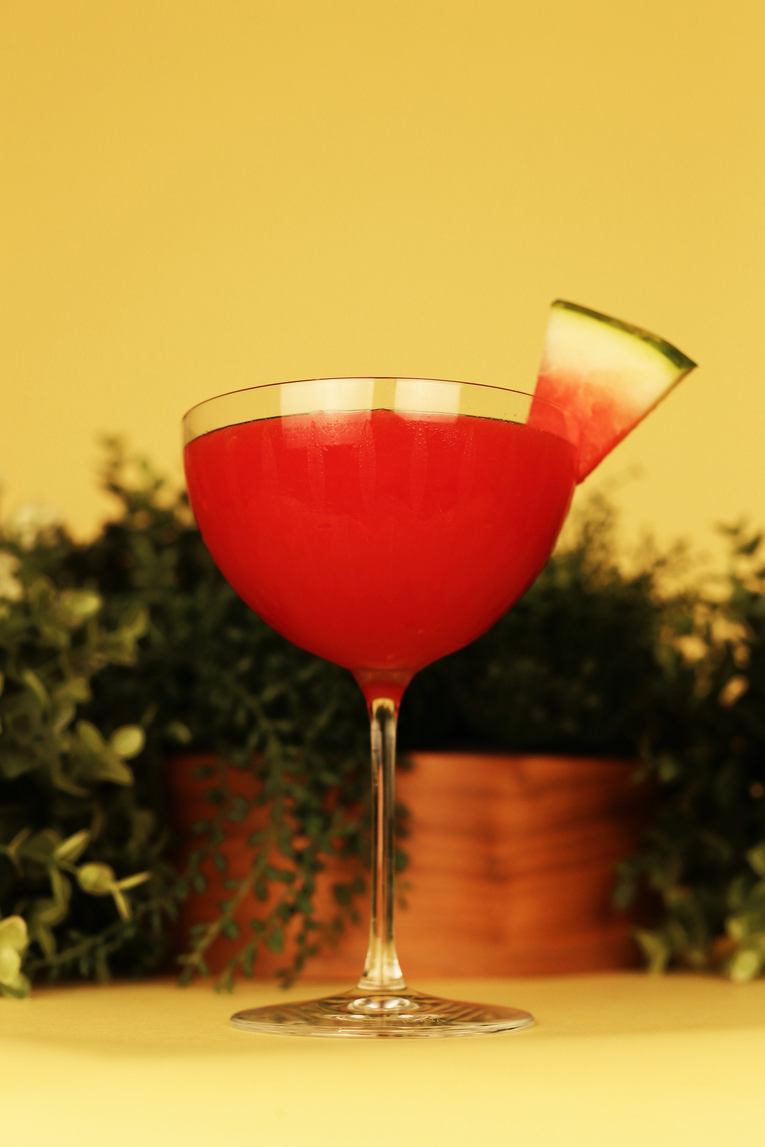 So long Summer- watermelon cocktail with a spicy bitter – Alambika